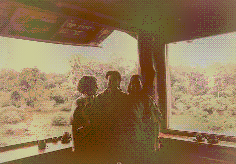 WMB1.5.25 - The Women and Memory Forum
